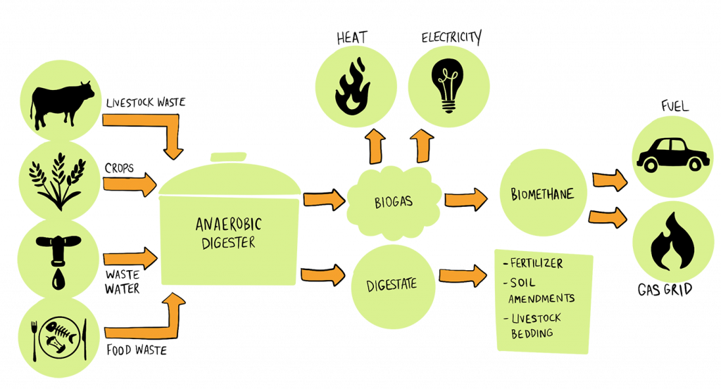 Green Energy - Explore Saskatchewan Agriculture