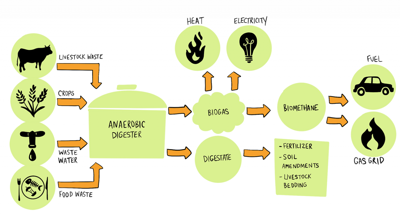 Green Energy - Explore Saskatchewan Agriculture