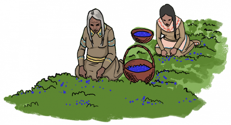 Learning European Methods - Explore Saskatchewan Agriculture