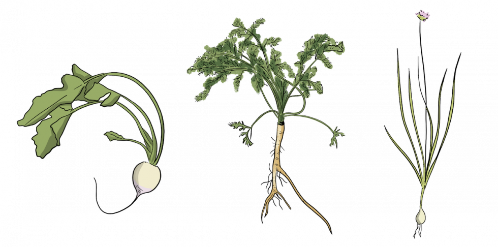 Indigenous Peoples - Explore Saskatchewan Agriculture