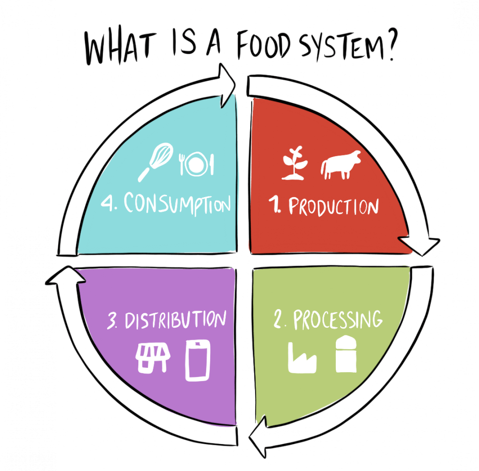 Careers in the Food System - Explore Saskatchewan Agriculture