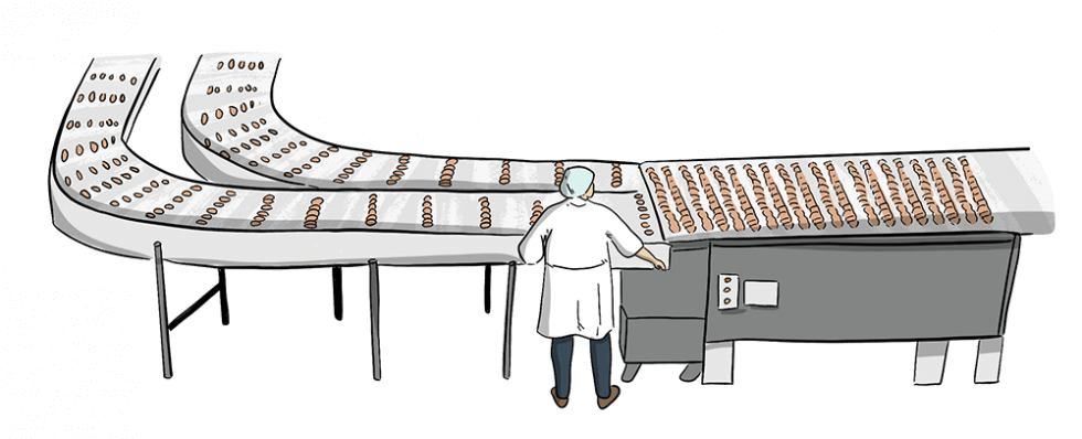 Careers in the Food System - Explore Saskatchewan Agriculture